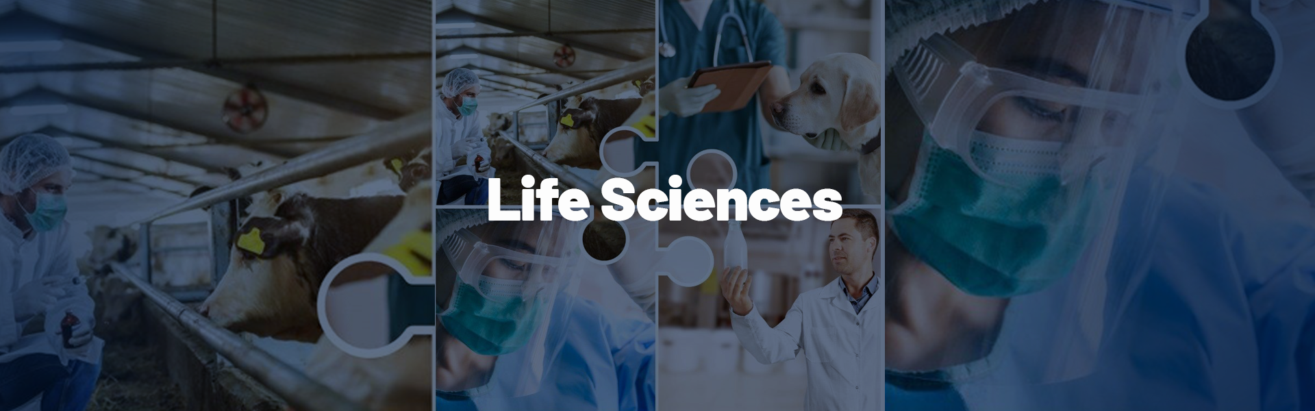 NATA’s Life Science Sector - NATA