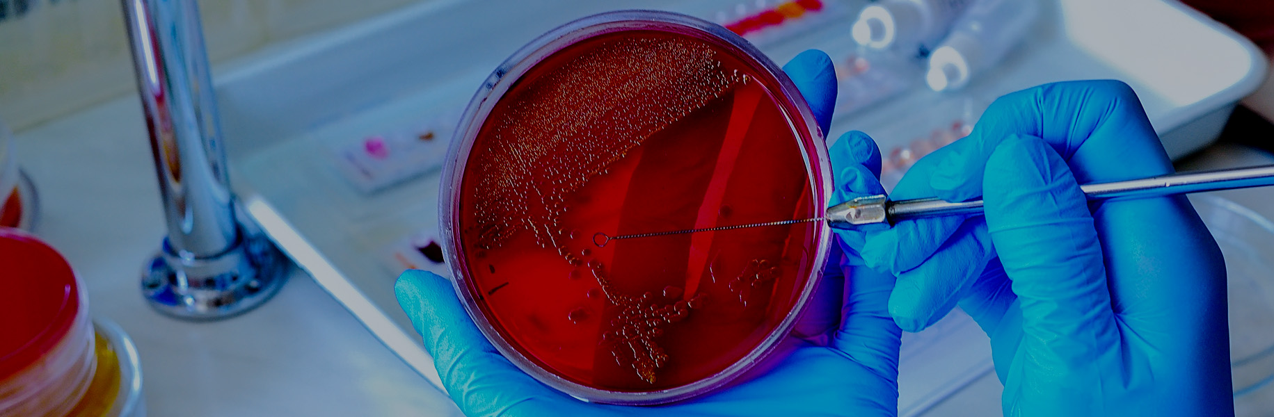 Guidelines on Quality Control for Infectious Disease Testing - NATA